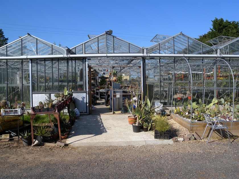 Cactus Shop Mail Order Cacti and Other Succulent plants